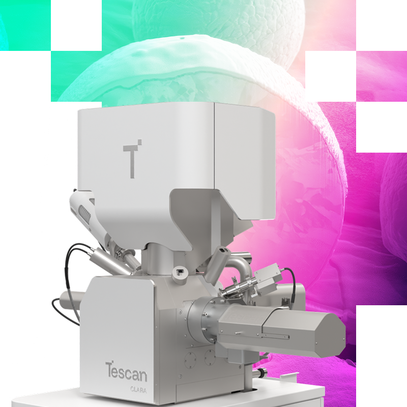 Tescan CLARA | Ultra-High-Resolution SEM for Advanced Imaging and Analysis