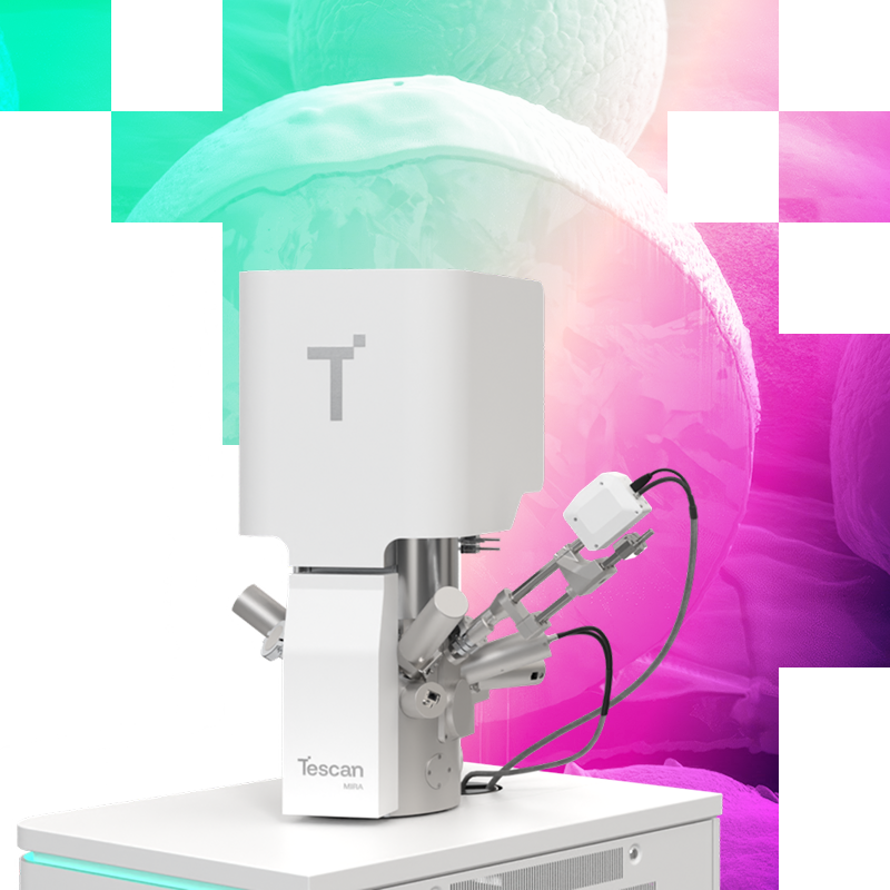 Tescan MIRA | High-Resolution FEG SEM for Research, Analysis & Inspection